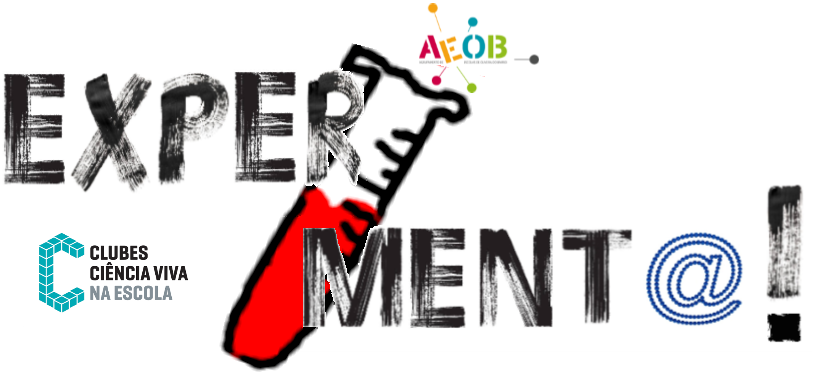 Agrupamento de Escolas de Oliveira do Bairro